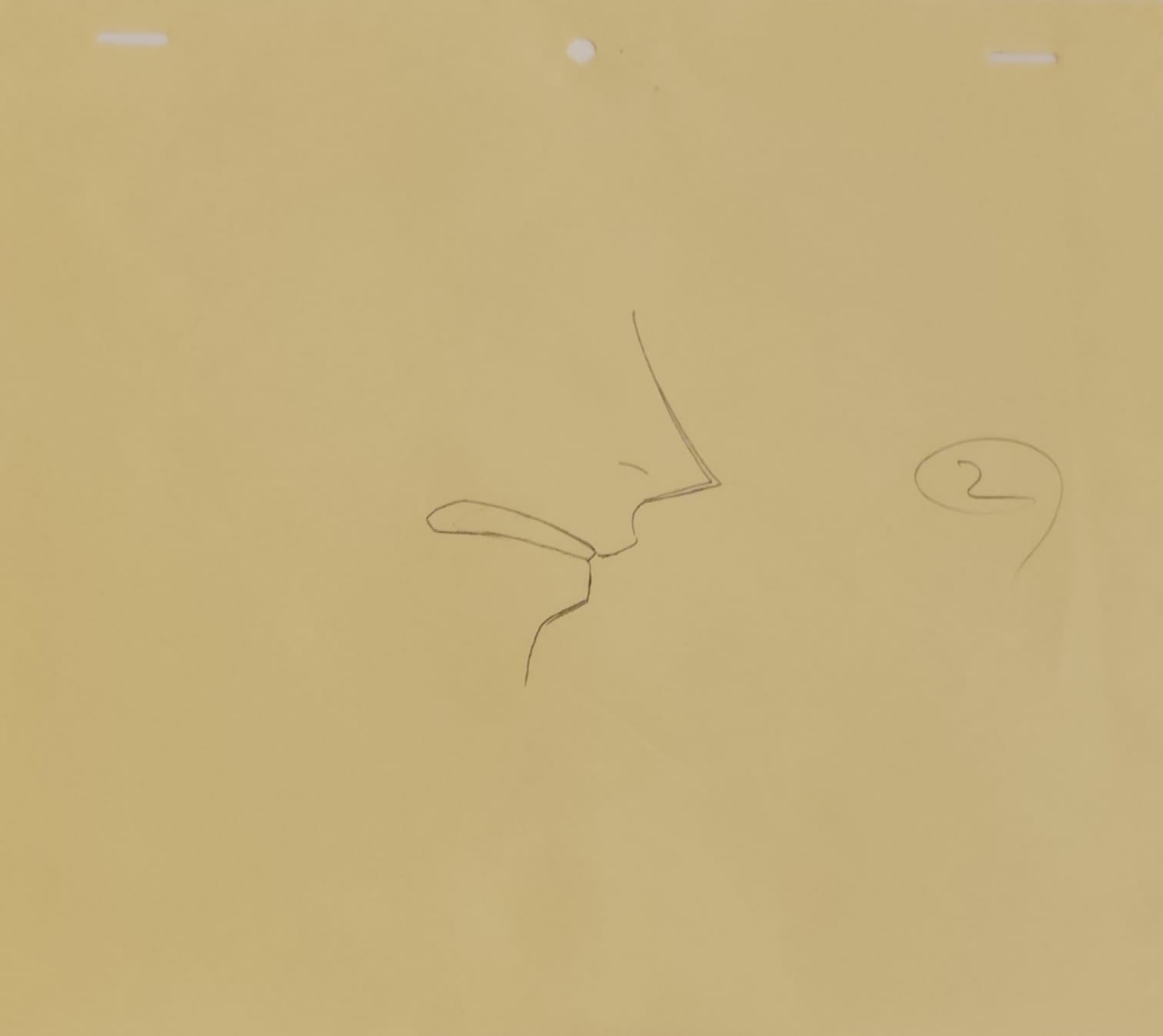 One Piece Original Drawing (Vivi) – Japanime Art Gallery