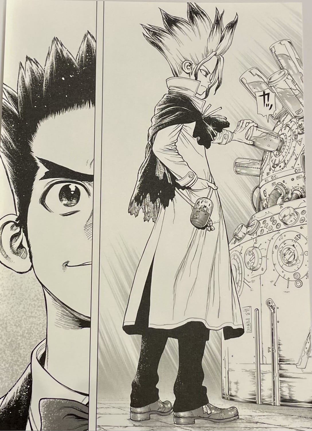 Dr. Stone Limited reproduction (Senku & Taiju Oki) – Japanime Art Gallery