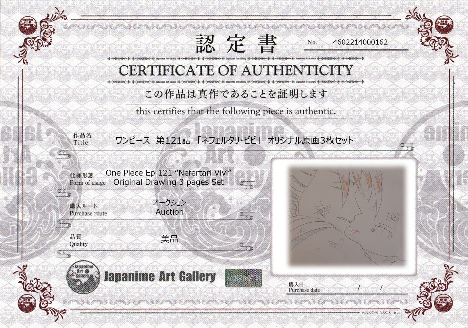 One Piece Original Drawing (Vivi) – Japanime Art Gallery